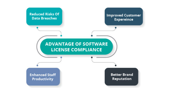 A Guide for Businesses on Ensuring Software Licence Compliance